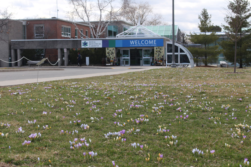RBG Centre - Royal Botanical Gardens