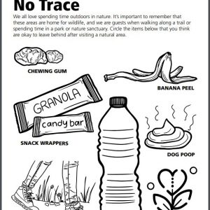 RBG at Home - for Teachers - Royal Botanical Gardens