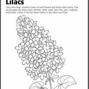 RBG at Home - for Teachers - Royal Botanical Gardens